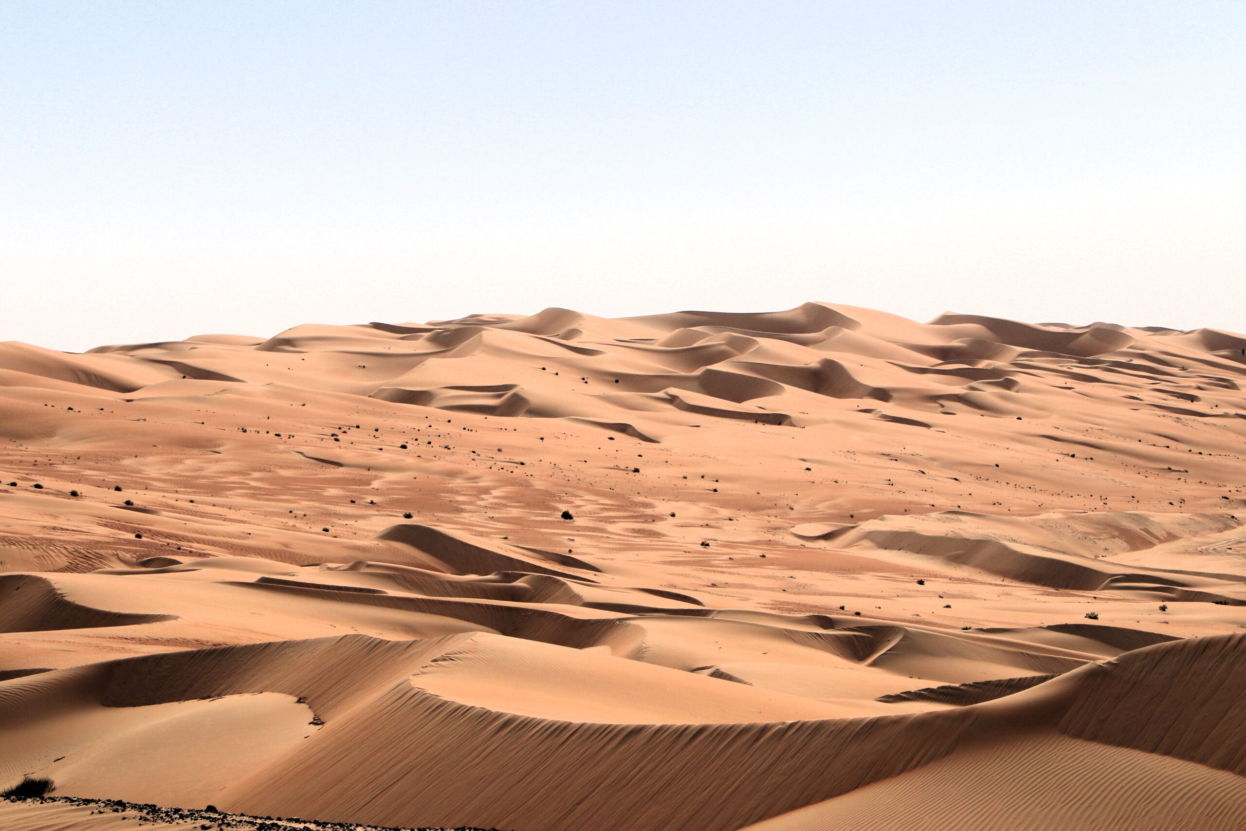 The Empty Quarter – The Traveling Pancy